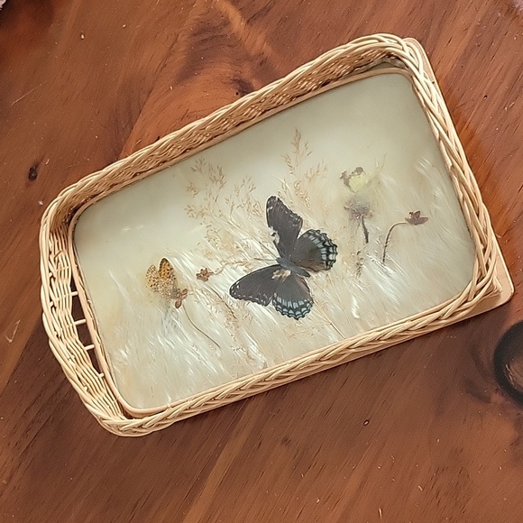 Hand Crafted | Dining | Vintage Butterfly And Milkweed Silk Tray | Poshmark